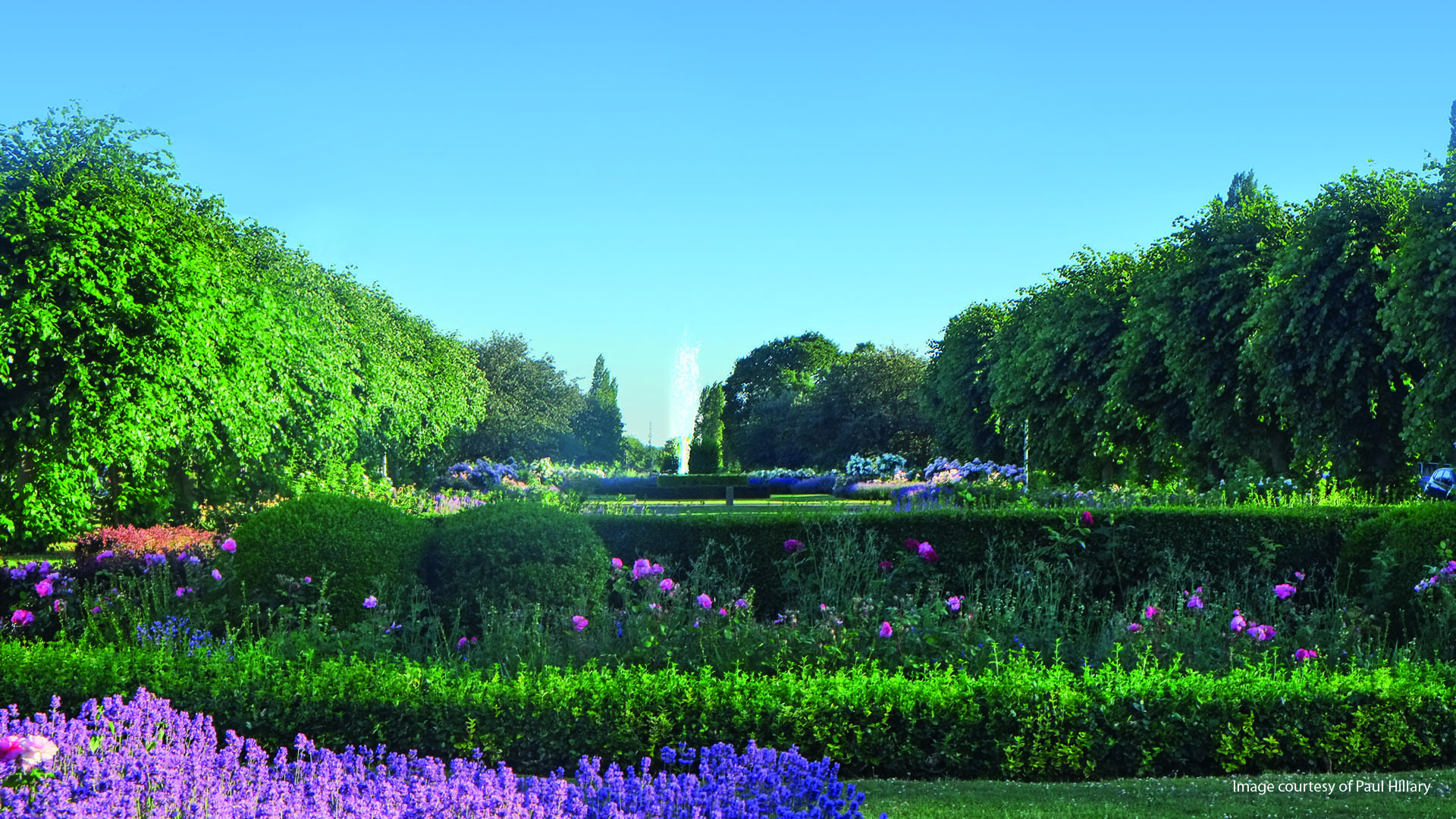 The humble hedgerow is integral to garden city design | Blog